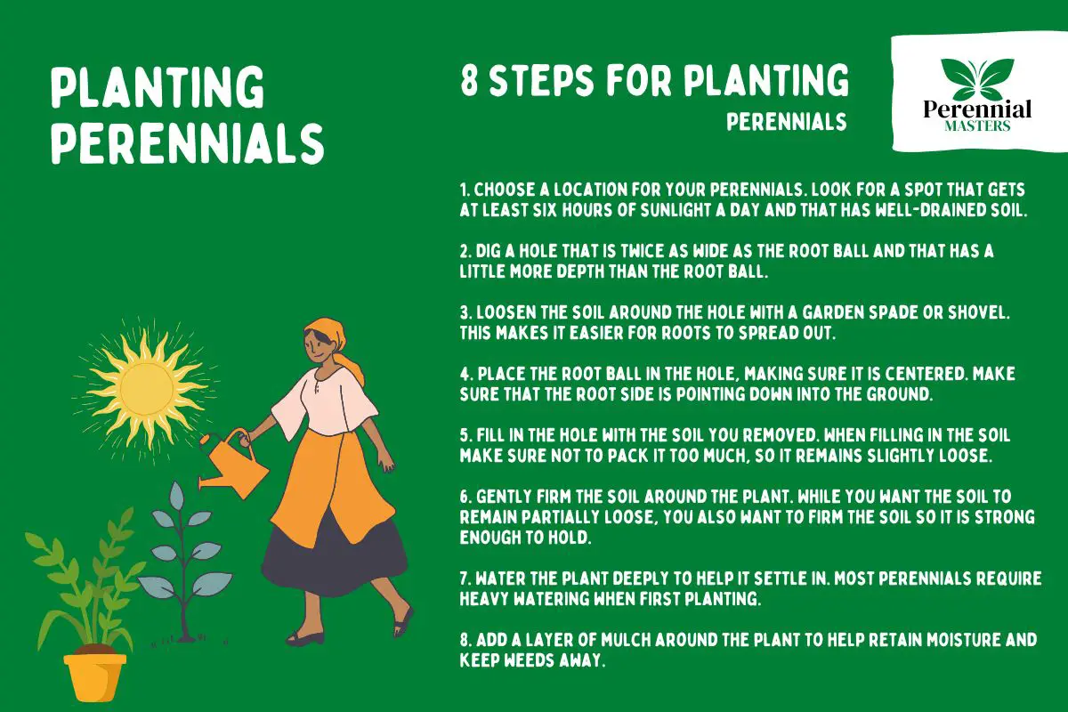 The Art of Planting Perennials: Creative Ideas for Your Garden!
